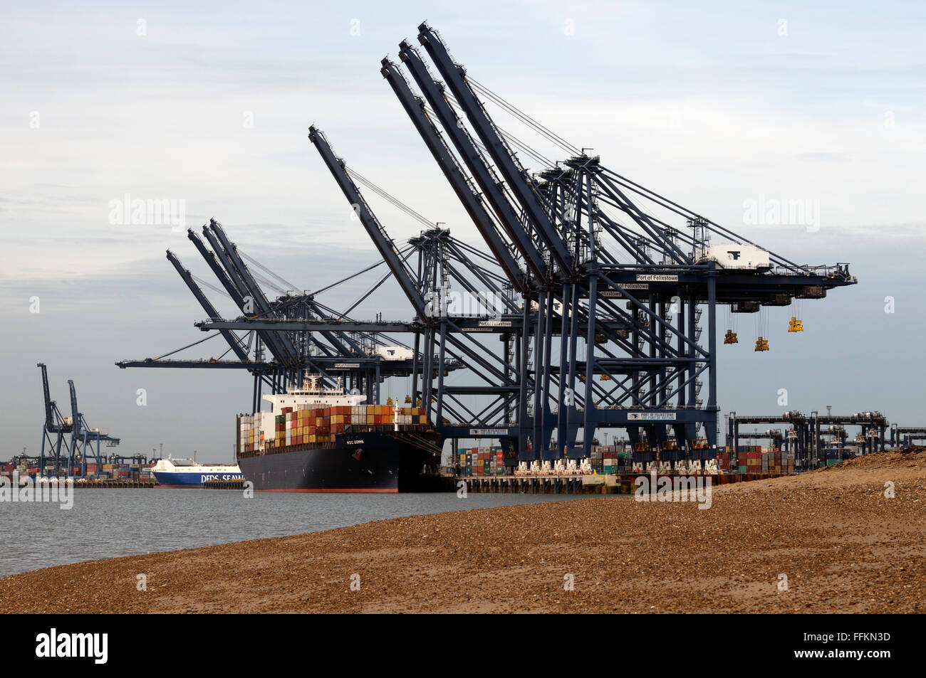 Msc gemma ship hi-res stock photography and images - Alamy