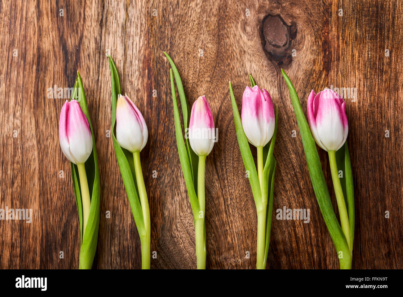 Five pink tulips green hi-res stock photography and images - Alamy