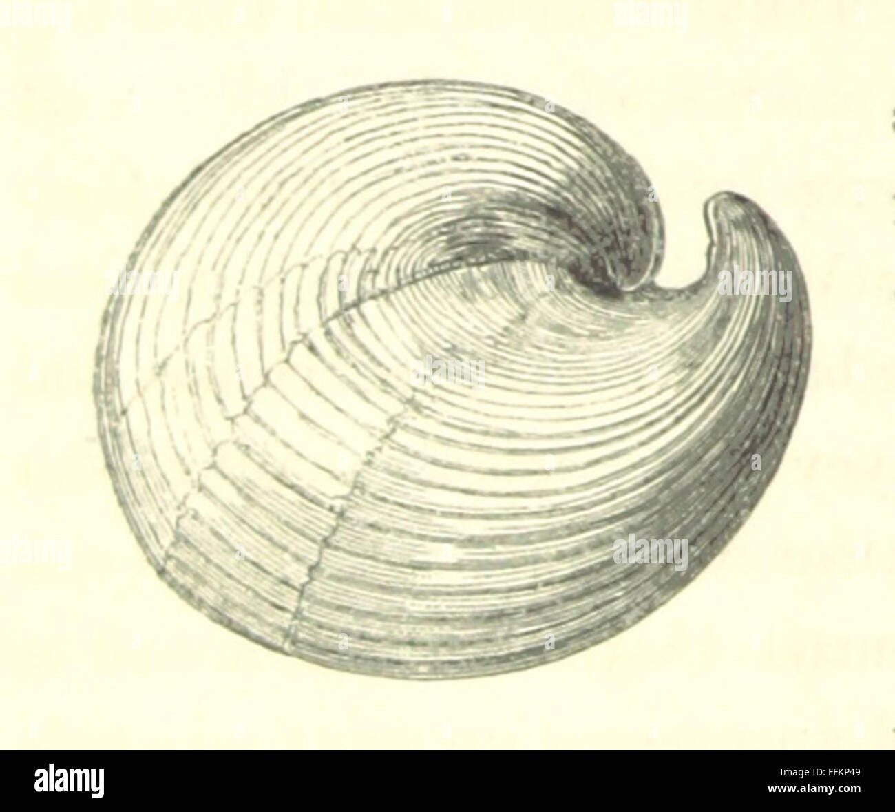 This vintage book serves as an introduction to geology, offering both ...