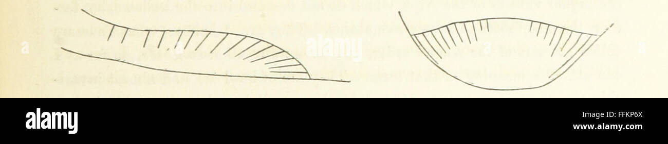 51 of '[Travels through the Alps of Savoy and other parts of the ...