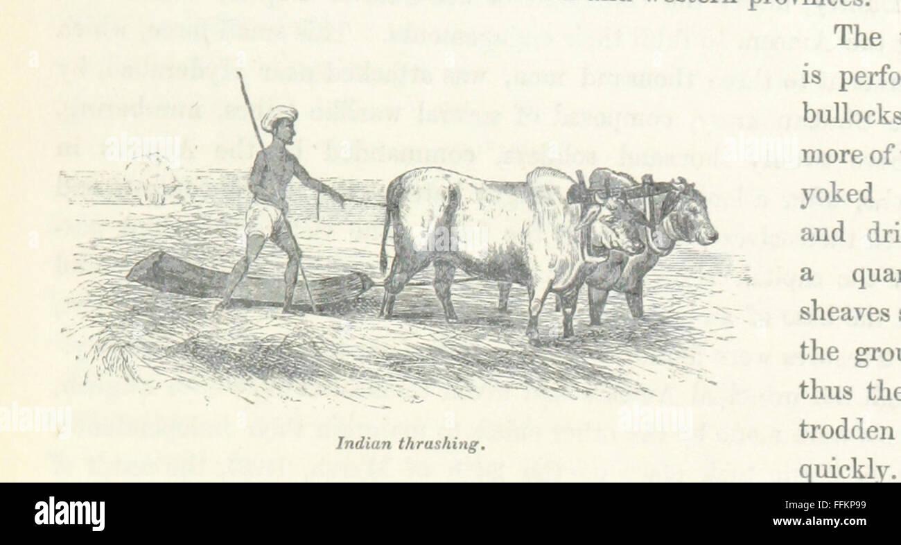 This book offers a pictorial and descriptive history of China and India ...