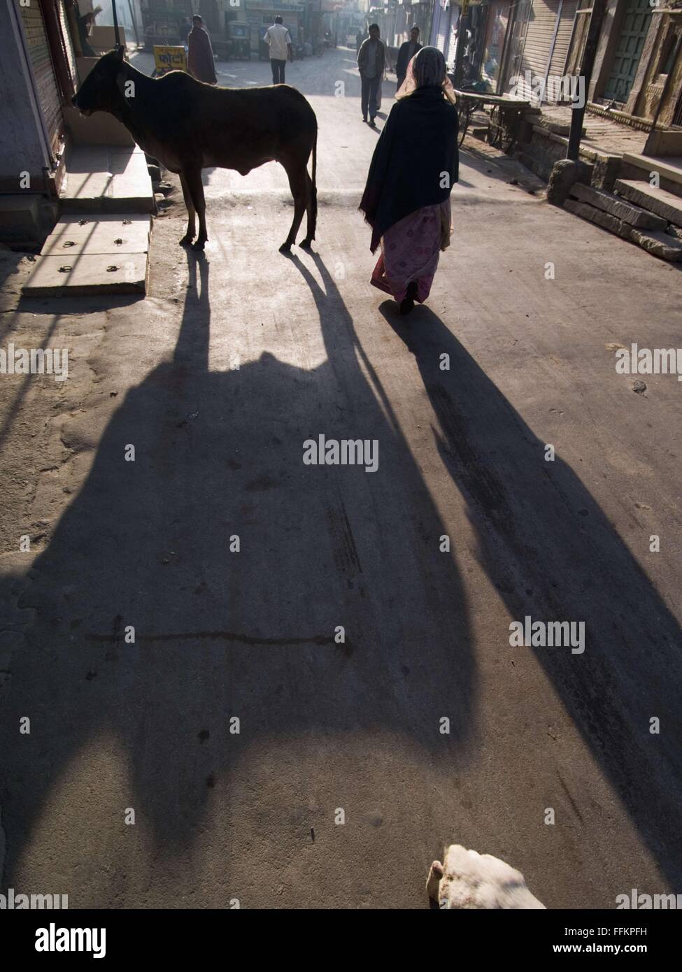 Feb. 17, 2013 - Jaisalmer, Rajasthan, India - India, Rajastan ...