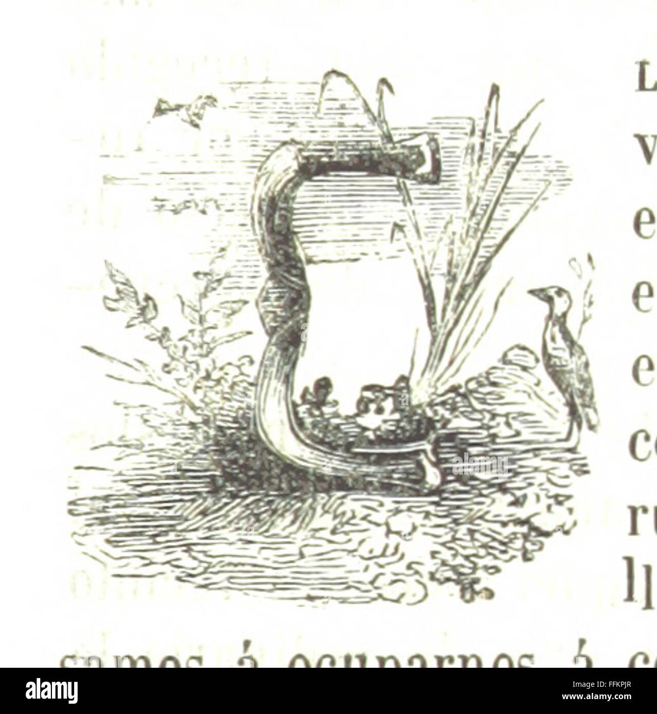 A historical and cultural overview of Seville, Spain, highlighting its ...