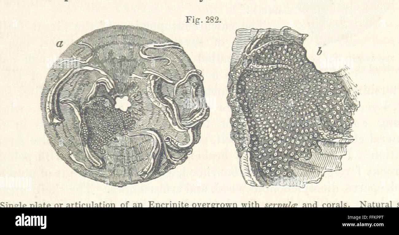 The 'Manual of Elementary Geology' is a third edition of a vintage ...