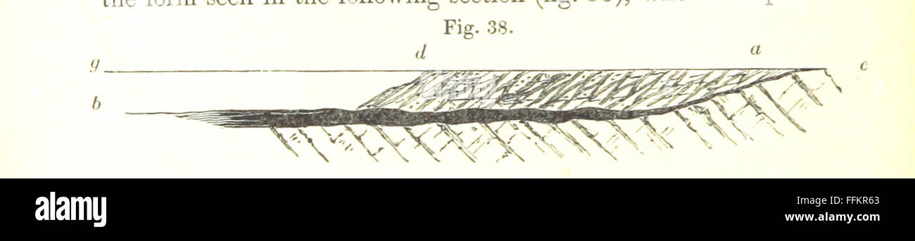 'The Geological Observer' presents observations and studies on ...