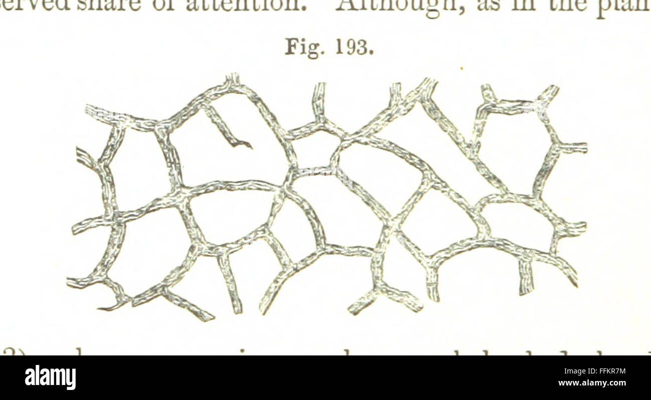 A comprehensive geological journal focusing on the study and ...