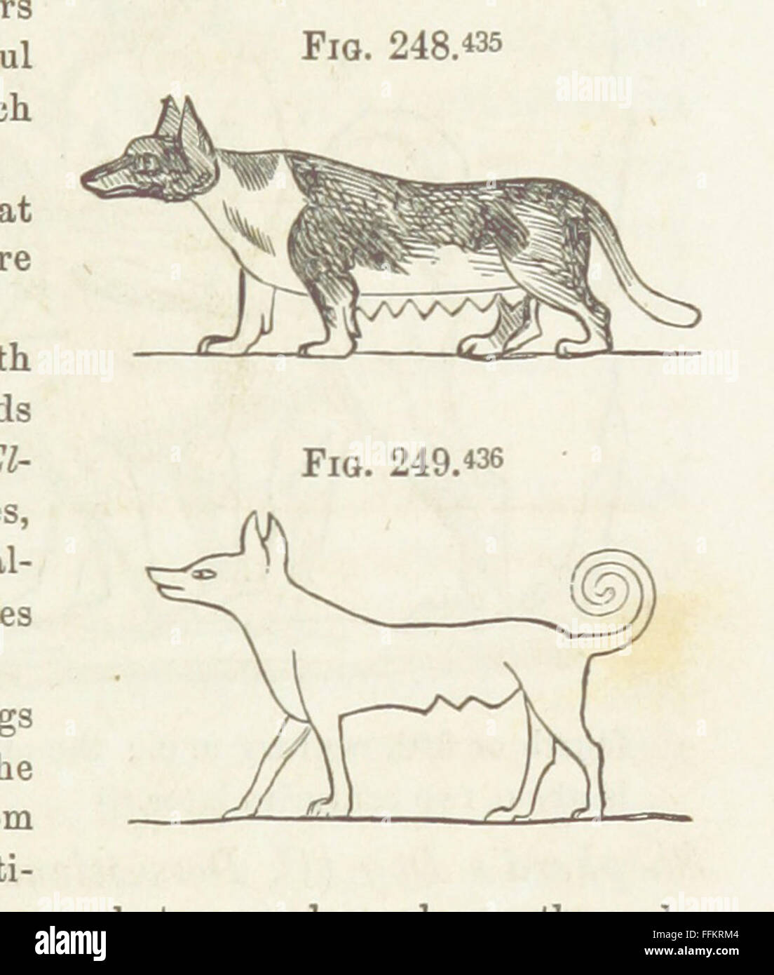 'Types of Mankind' focuses on ethnological studies and research into ...