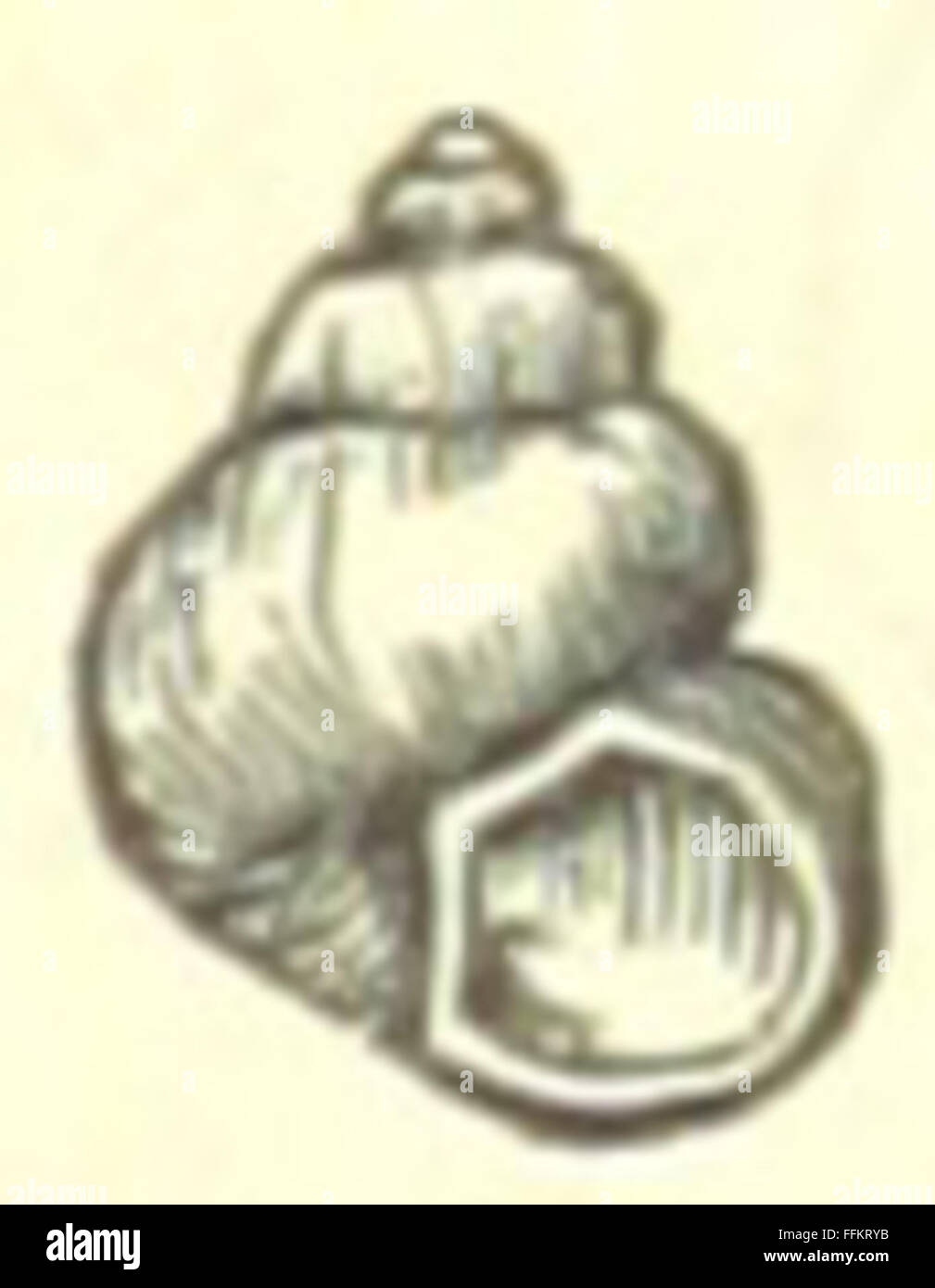 This third edition of 'A Manual of Elementary Geology' provides a ...