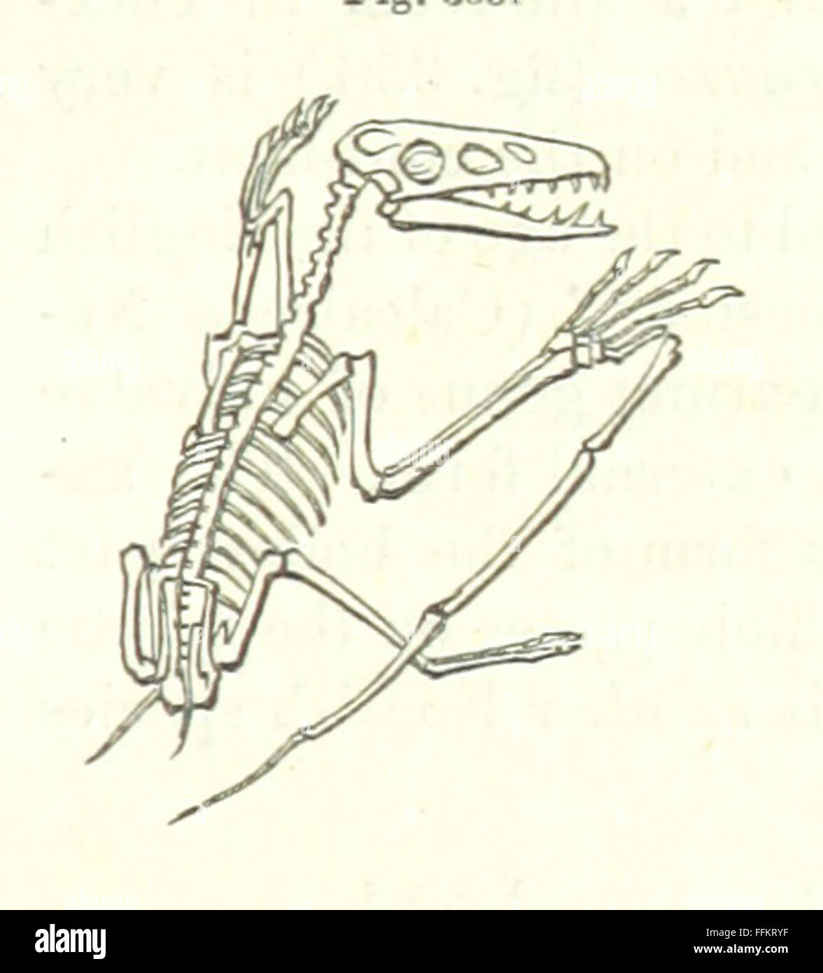 This manual offers a fundamental introduction to geology, covering the ...