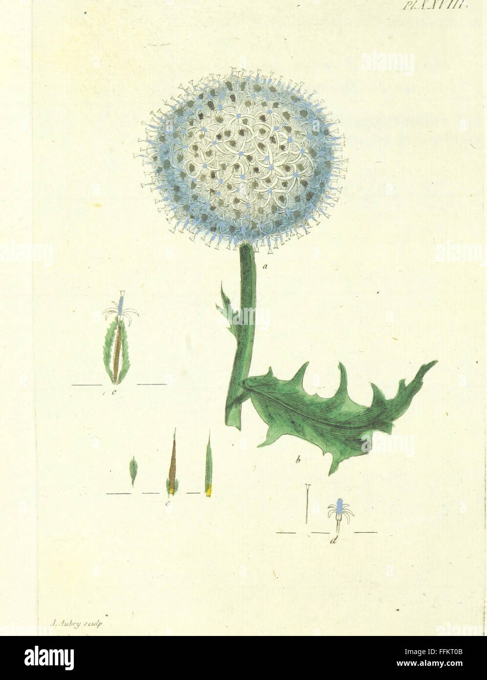 This collection includes the complete works of Jean-Jacques Rousseau ...