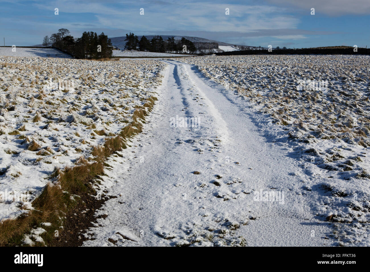 A snowy track at Upper Teesdale in County Durham, England. Snow dusts ...
