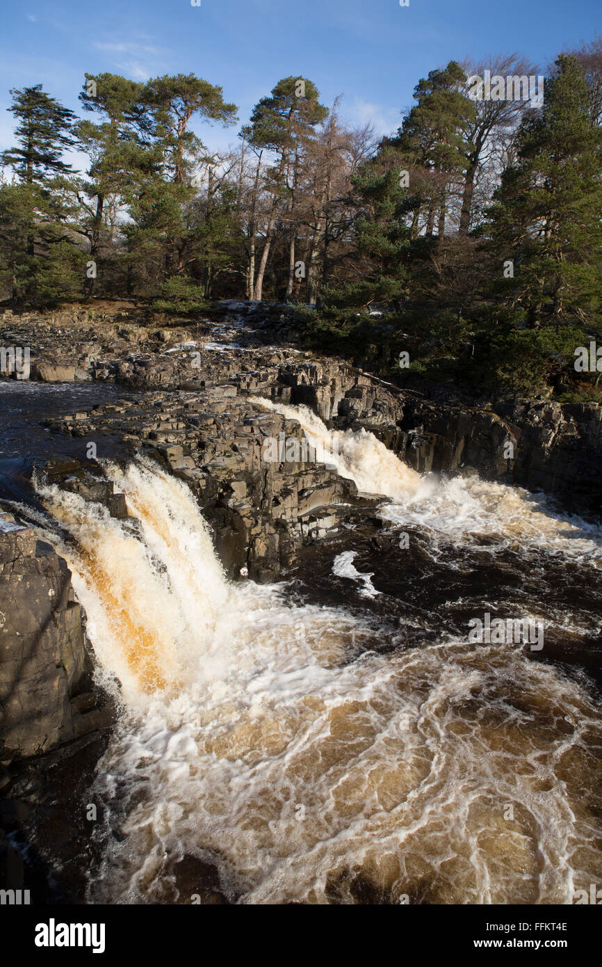 Low force hi-res stock photography and images - Alamy