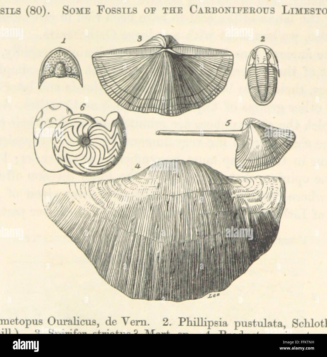 'Siluria' covers the history of Silurian rocks, the oldest known rocks ...