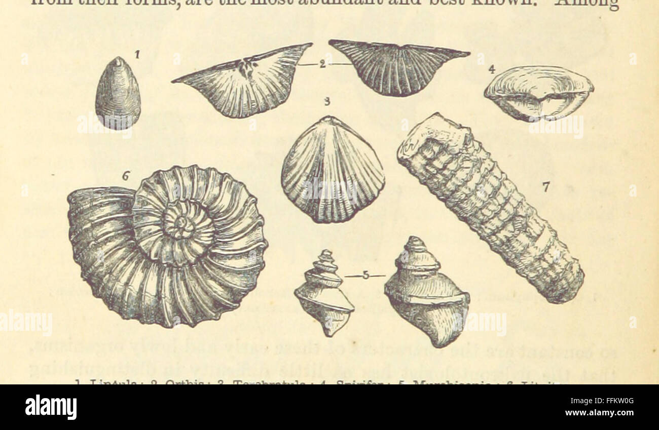 'Advanced Text-book of Geology' is a comprehensive textbook covering ...