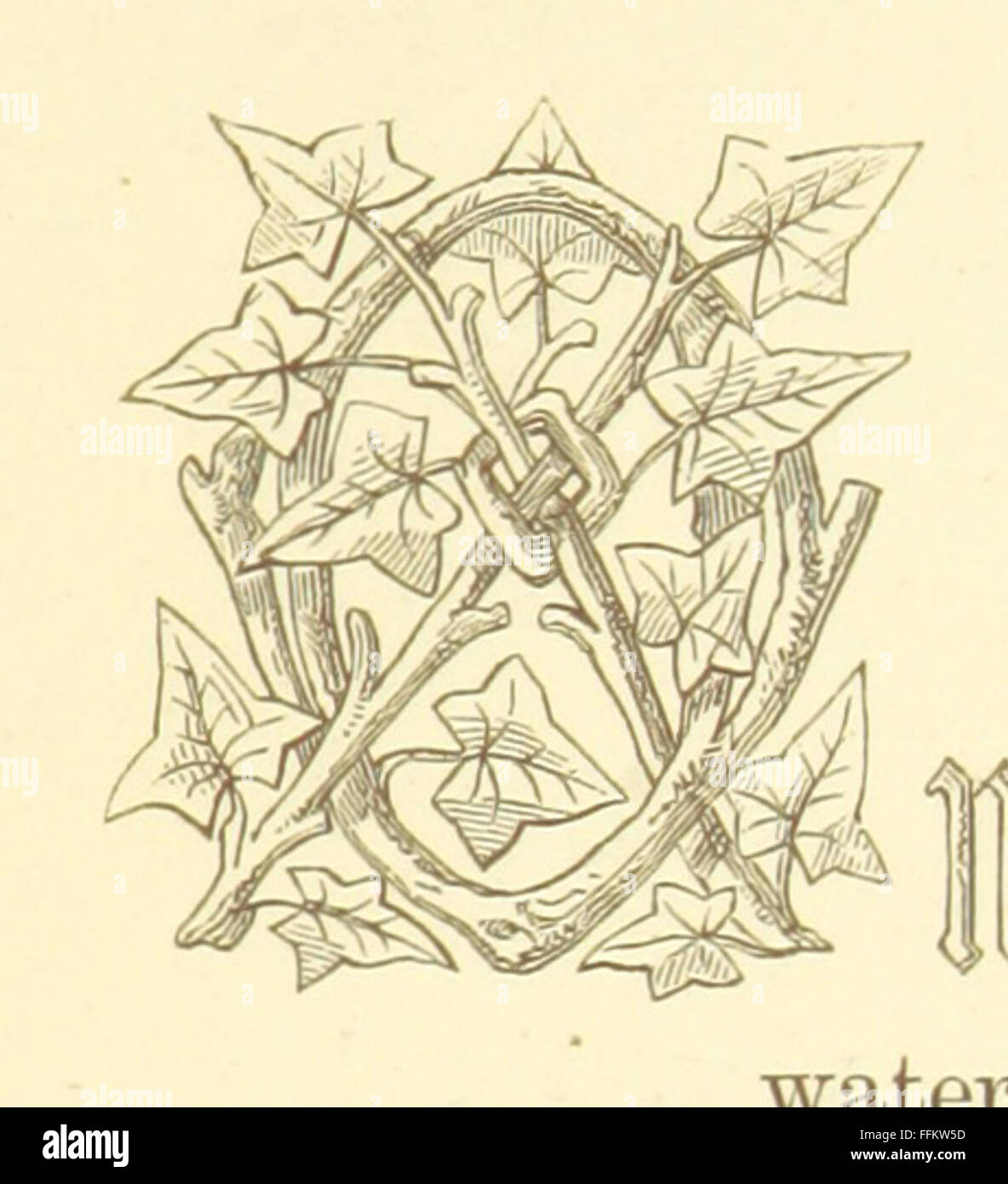 A poignant story of a brief life, told through gossip verse and ...