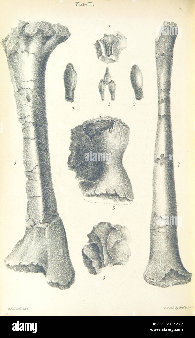 This book covers the geological features of the South-East of England ...