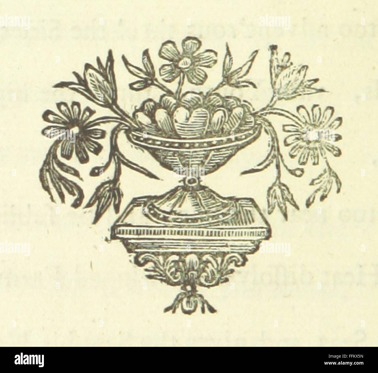 Sev letter hi-res stock photography and images - Alamy