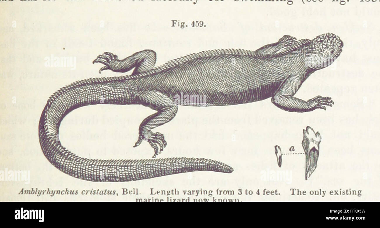 *Elements of Geology* provides a detailed introduction to the science ...