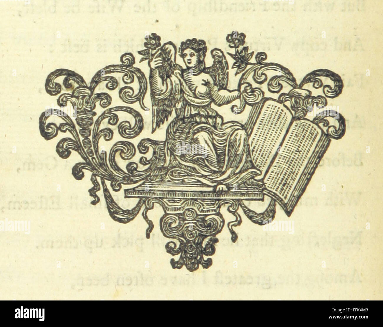 Sev letter hi-res stock photography and images - Alamy