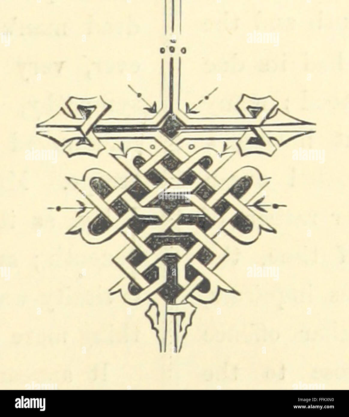 This image is from 'The Story of a Feather', a book detailing the life ...