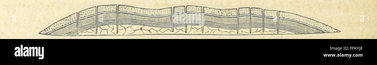 Comparative geography hi-res stock photography and images - Alamy