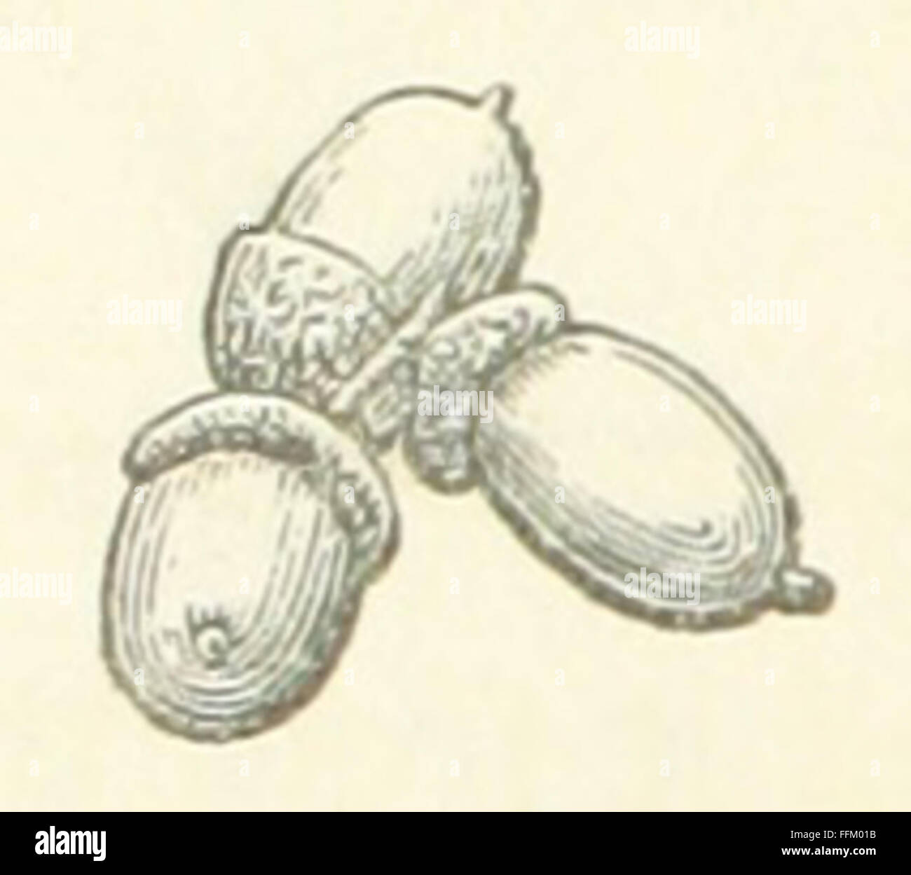 This collection compiles the works of Alfred Tennyson, one of the most ...