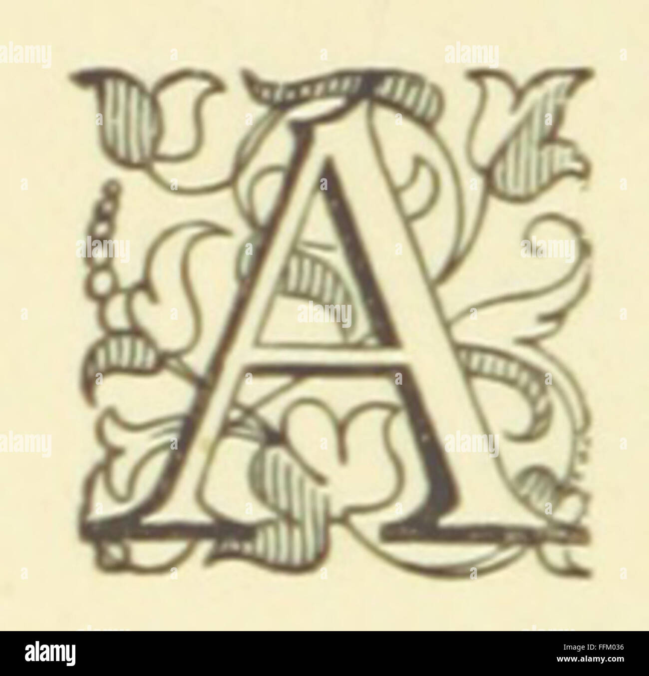 Miss finch hi-res stock photography and images - Alamy