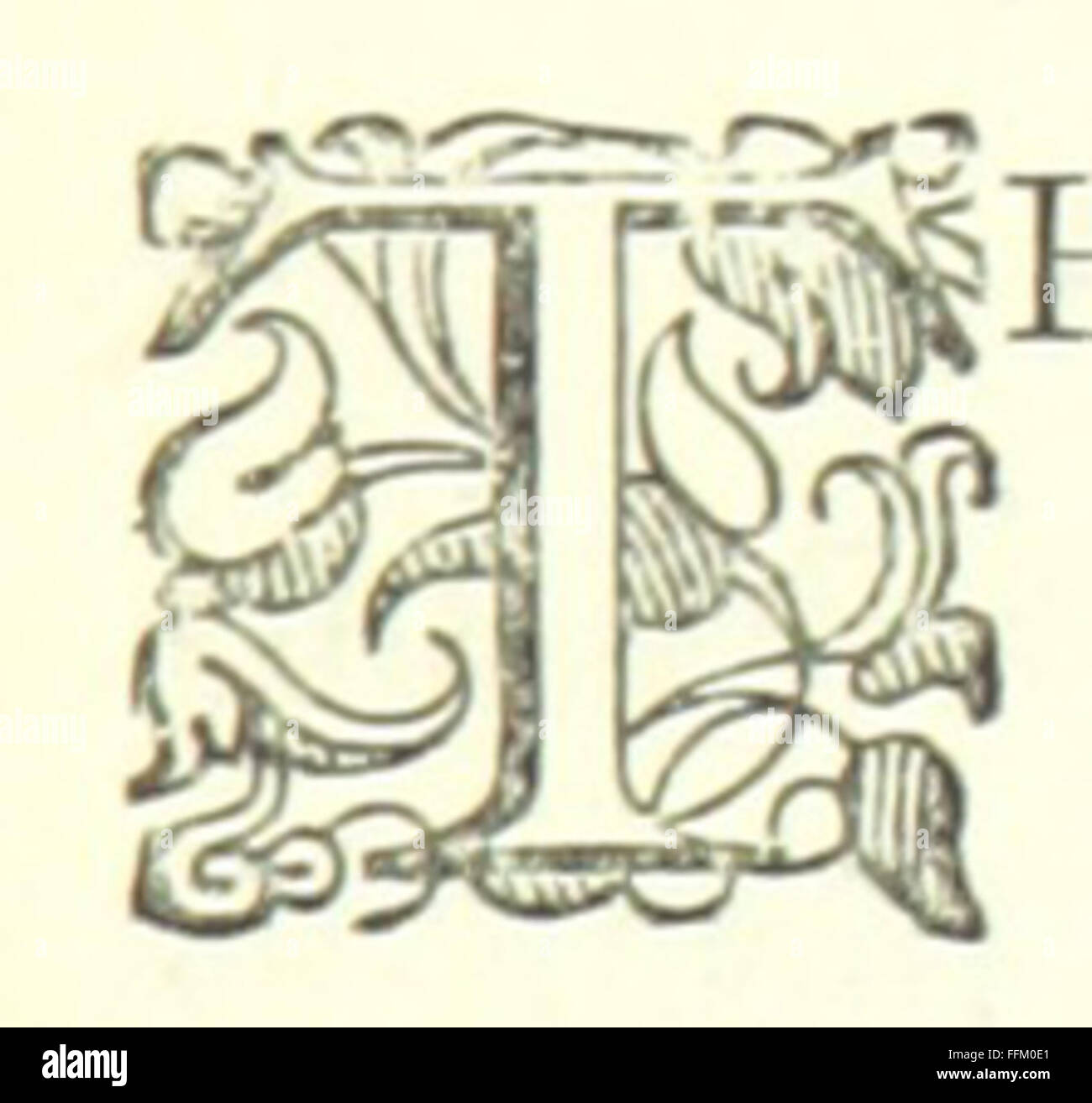 'Angela Pisani' is a novel featuring a poignant narrative set in a ...