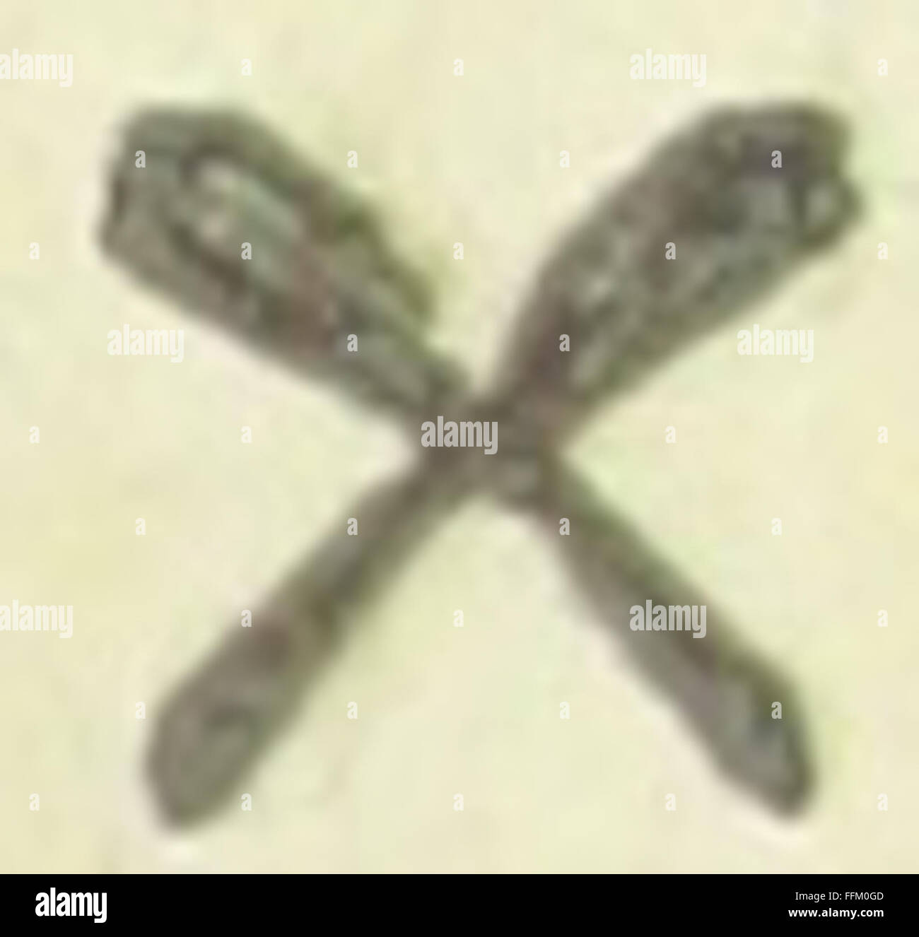 The Oriental Masonic Muse is a collection of Masonic songs, odes ...