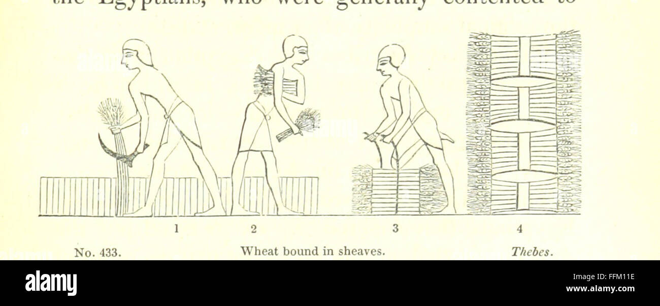 'Manners and Customs of the Ancient Egyptians' provides a detailed ...