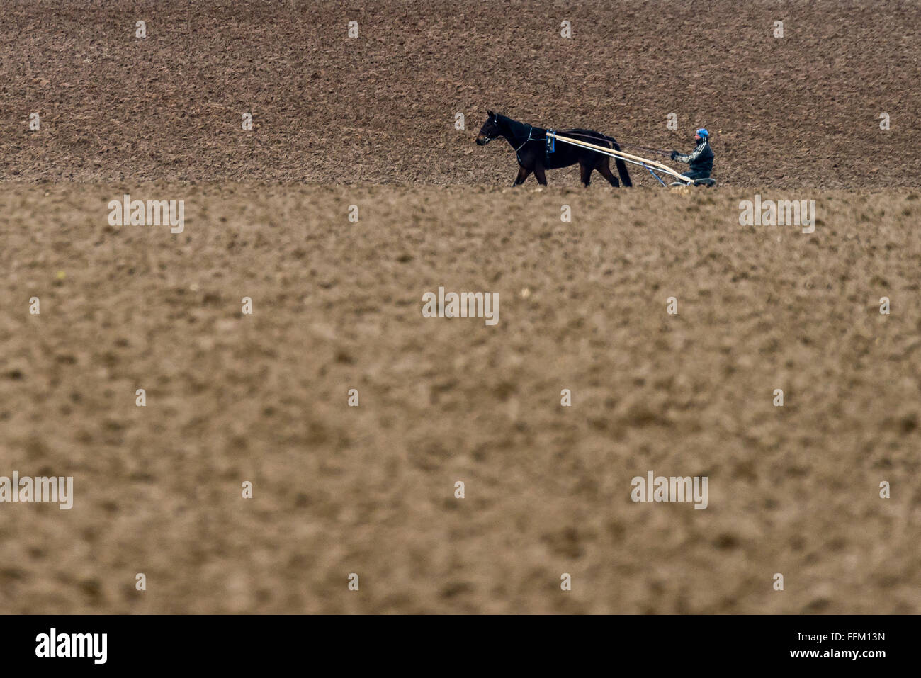 Straubing, Germany. 15th Feb, 2016. A horse-drawn cart between fields near Straubing, Germany ...