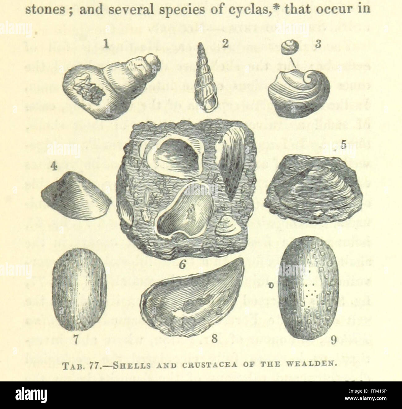 This vintage book provides an accessible explanation of geological ...