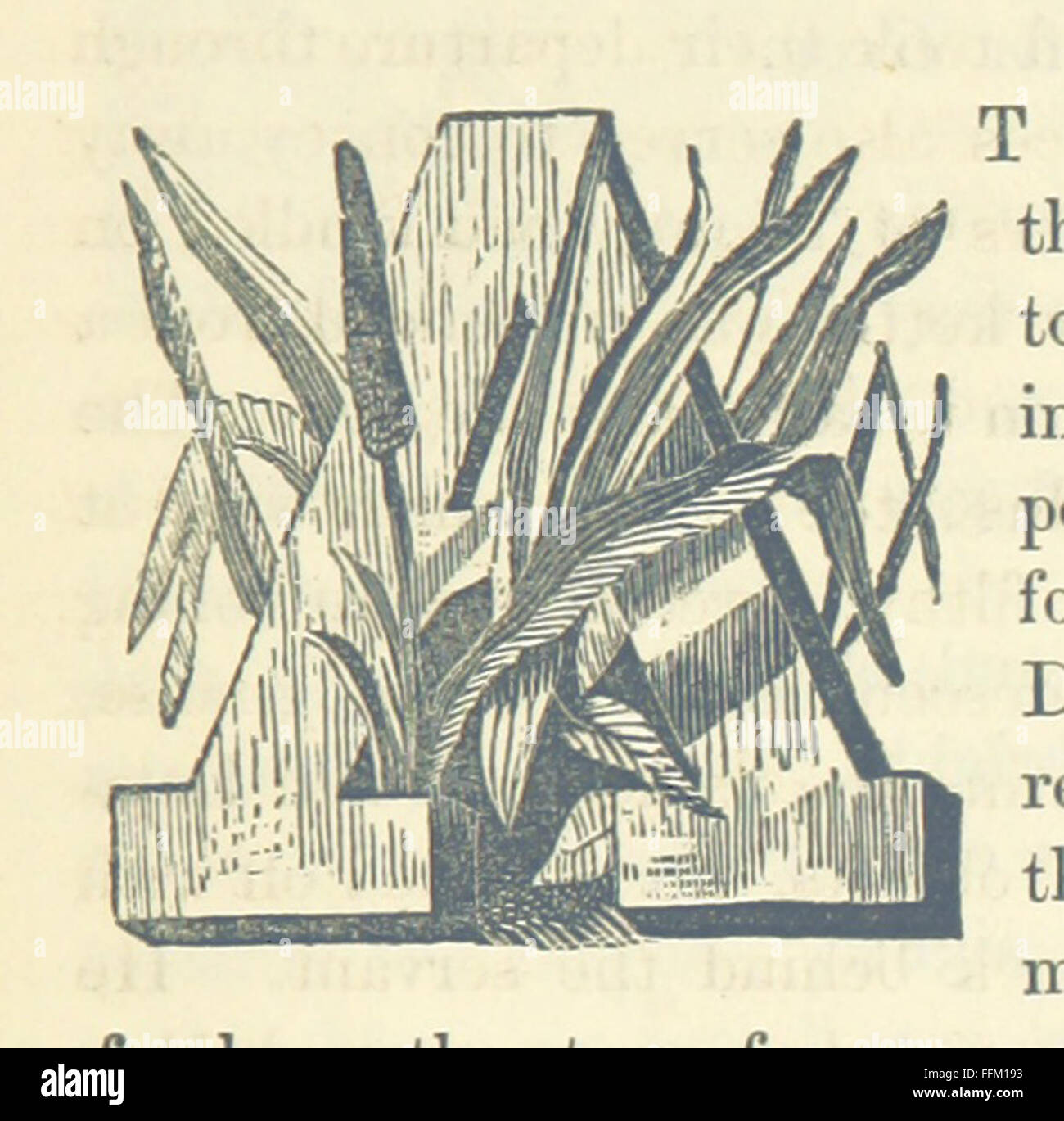 'The Local Historian’s Table Book' documents remarkable events ...