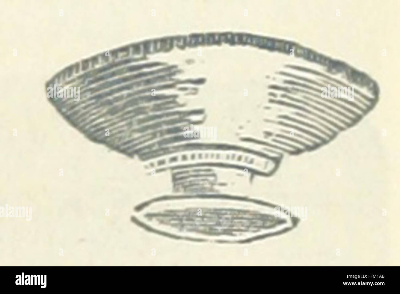 This book compiles a variety of remarkable historical events, facts ...