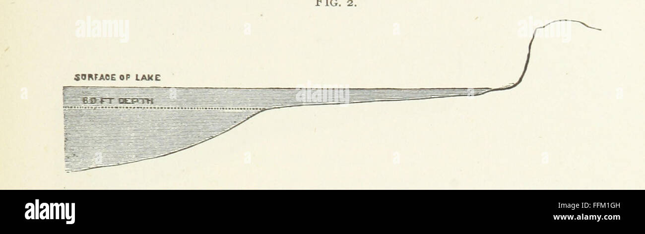 This vintage book explores the origin of humanity from a scientific ...