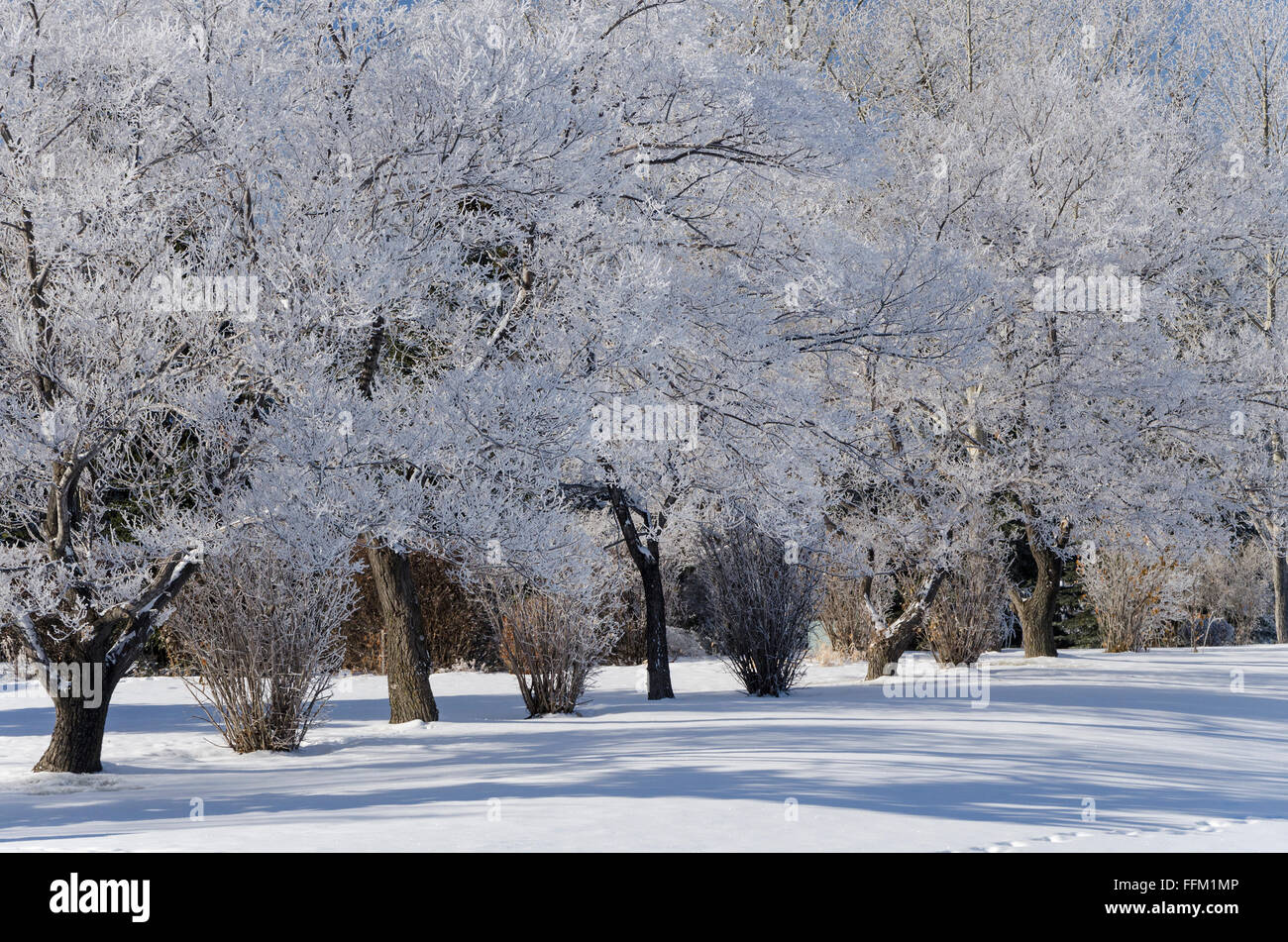 Frost line hi-res stock photography and images - Alamy