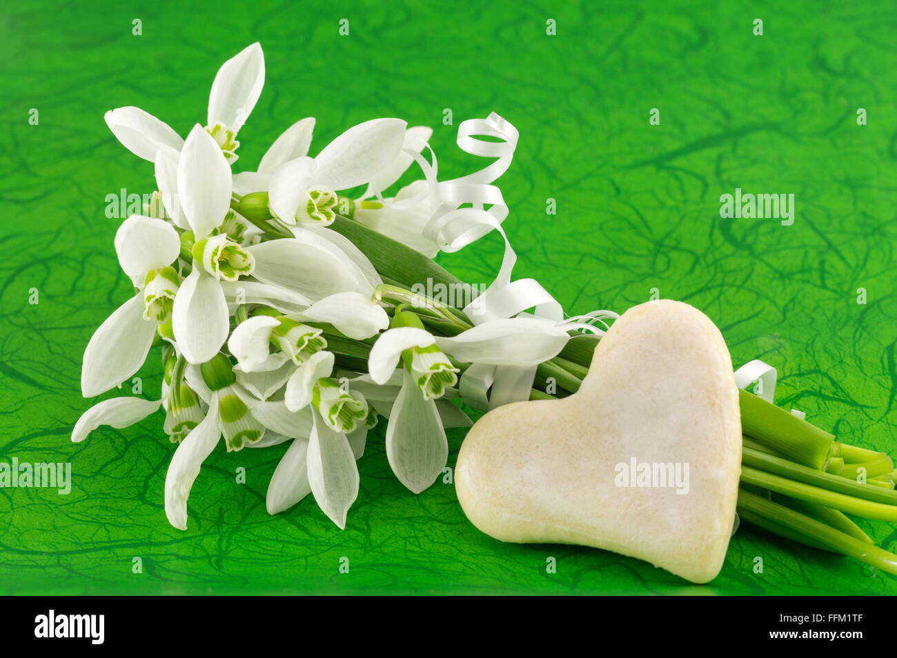 Snowdrops wooden crate hi-res stock photography and images - Alamy