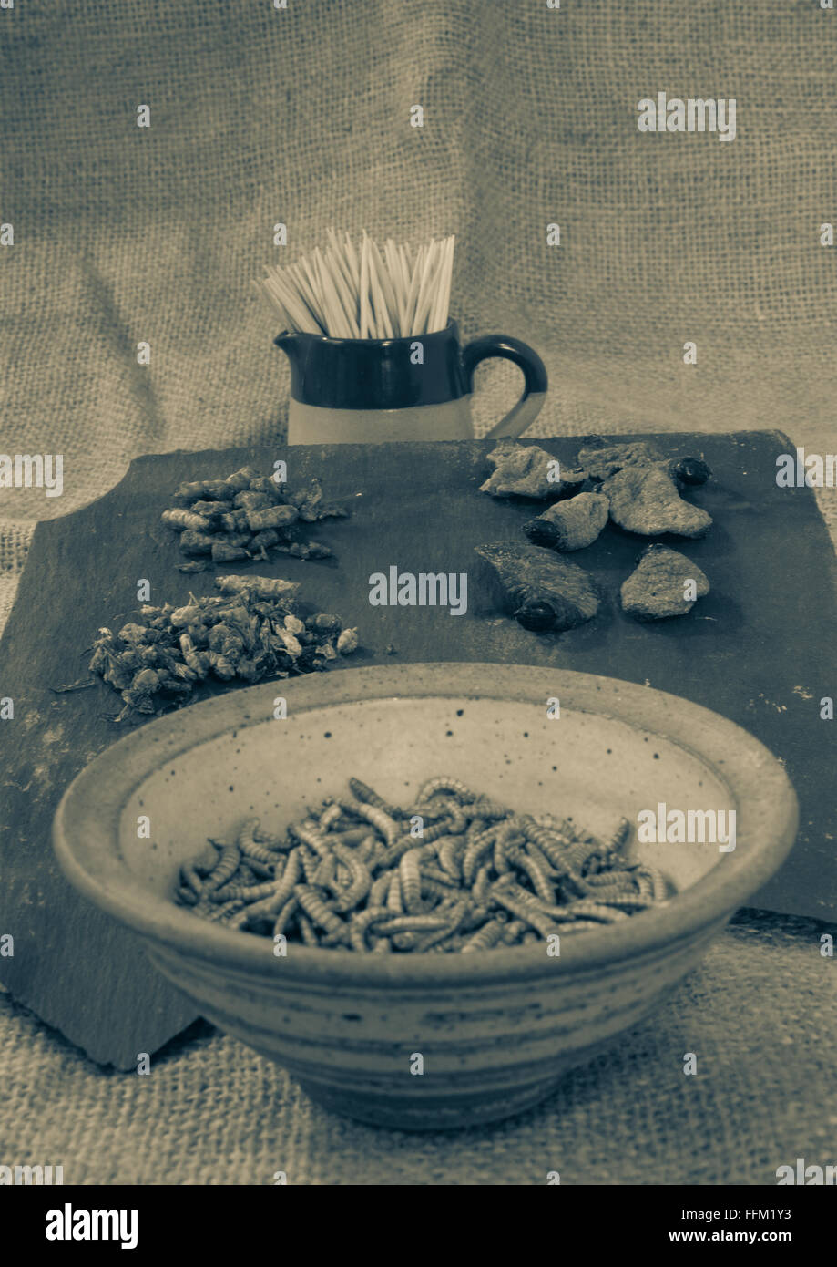 Eating insects hi-res stock photography and images - Alamy