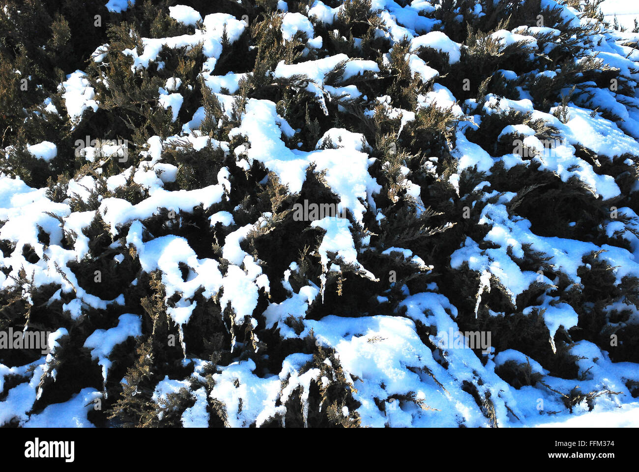 Winter snow outdoors Stock Photo - Alamy