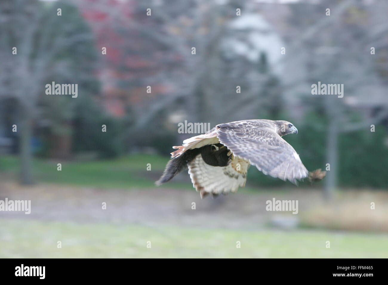 Speed kills hi-res stock photography and images - Alamy