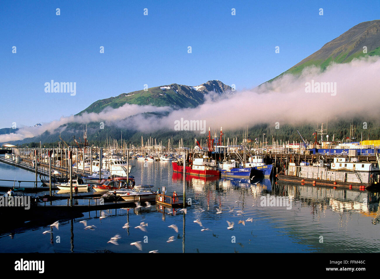Seward, Alaska, USA - Commercial Fishing Boats and Pleasure Boats ...