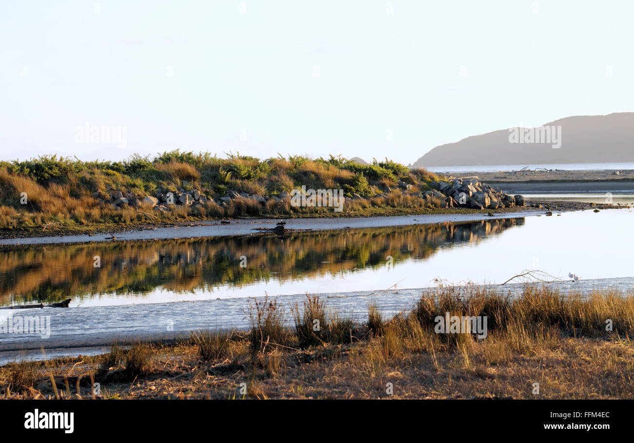 Waikanae Estuary, Kapiti, Wellington, New Zealand Stock Photo - Alamy