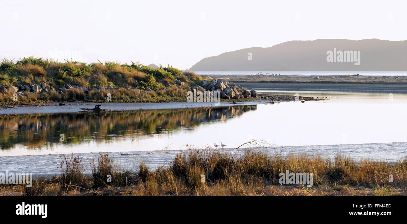 Waikanae Estuary, Kapiti, Wellington, New Zealand Stock Photo - Alamy