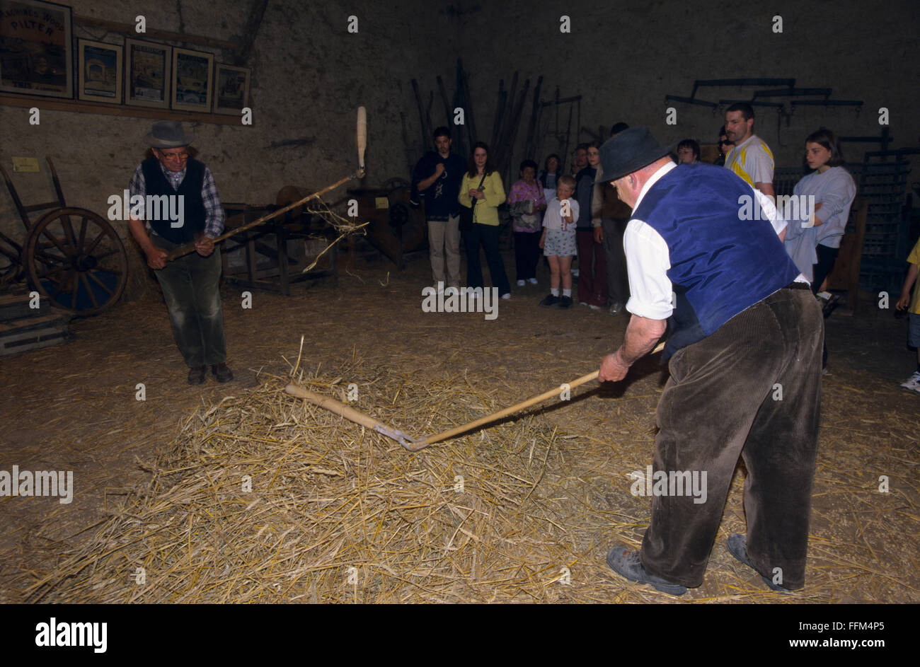 France, Meuse (55), Azannes, old craft village, wheat threshing with ...