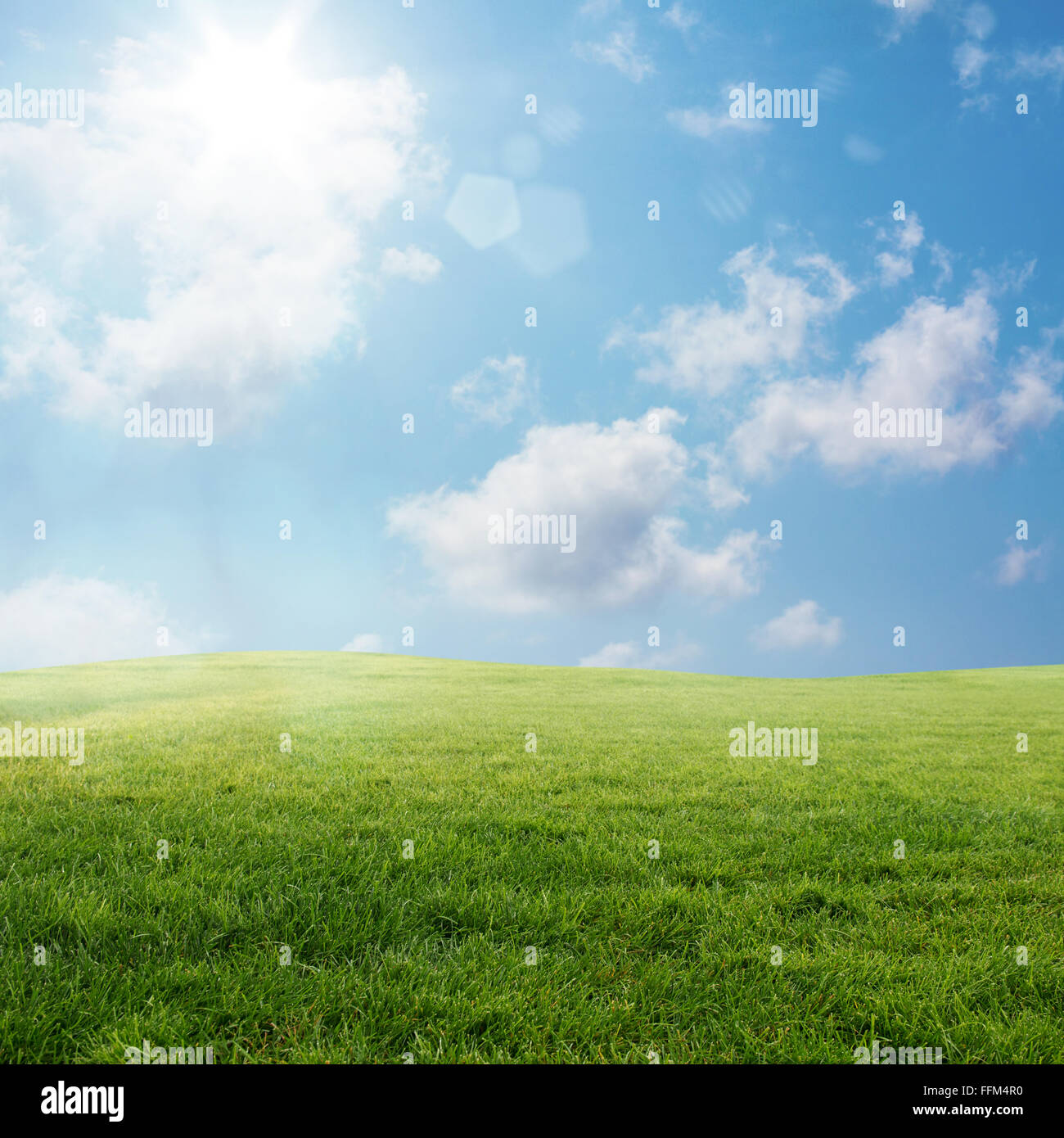 Lawn landscapes hi-res stock photography and images - Alamy