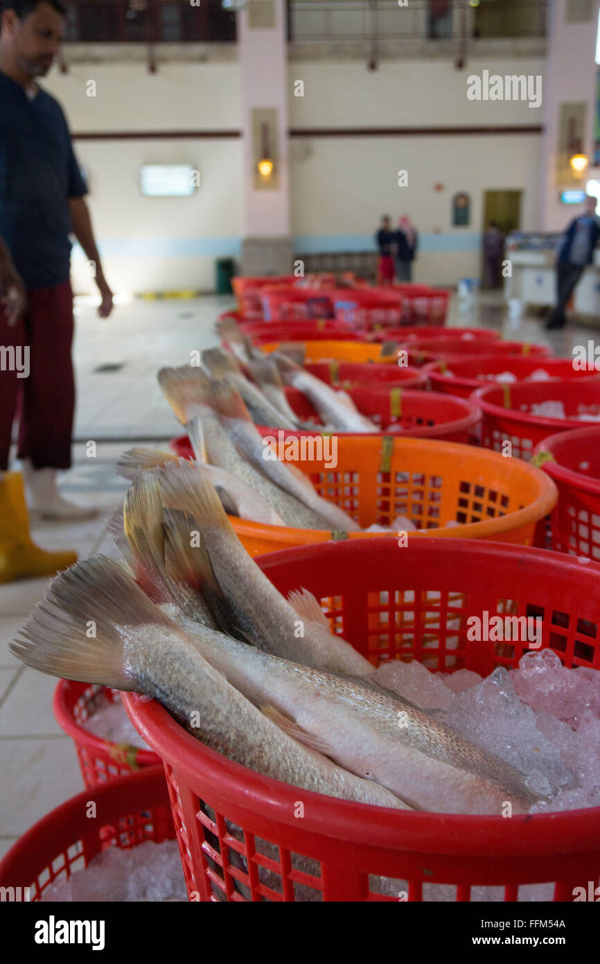 Fish in baskets at a fish market Stock Photo - Alamy