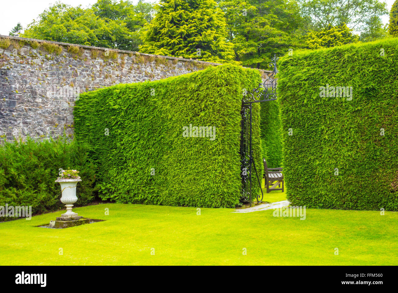 High hedges hi-res stock photography and images - Alamy