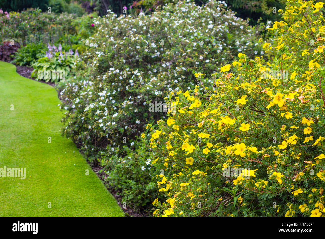 Beautiful garden with variety of trees and bushes Stock Photo - Alamy
