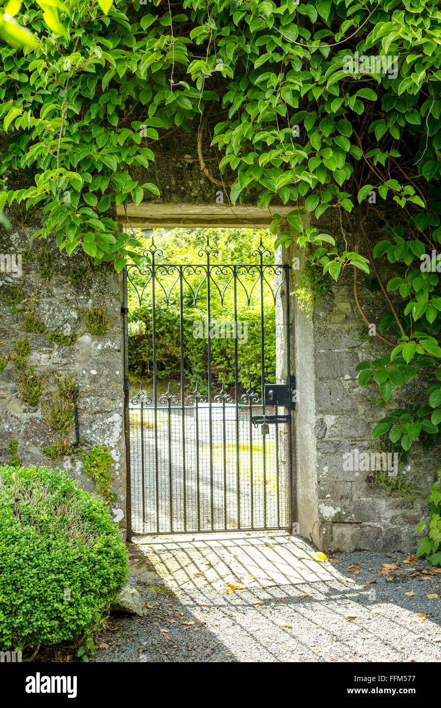Garden entrance gate ivy hi-res stock photography and images - Alamy