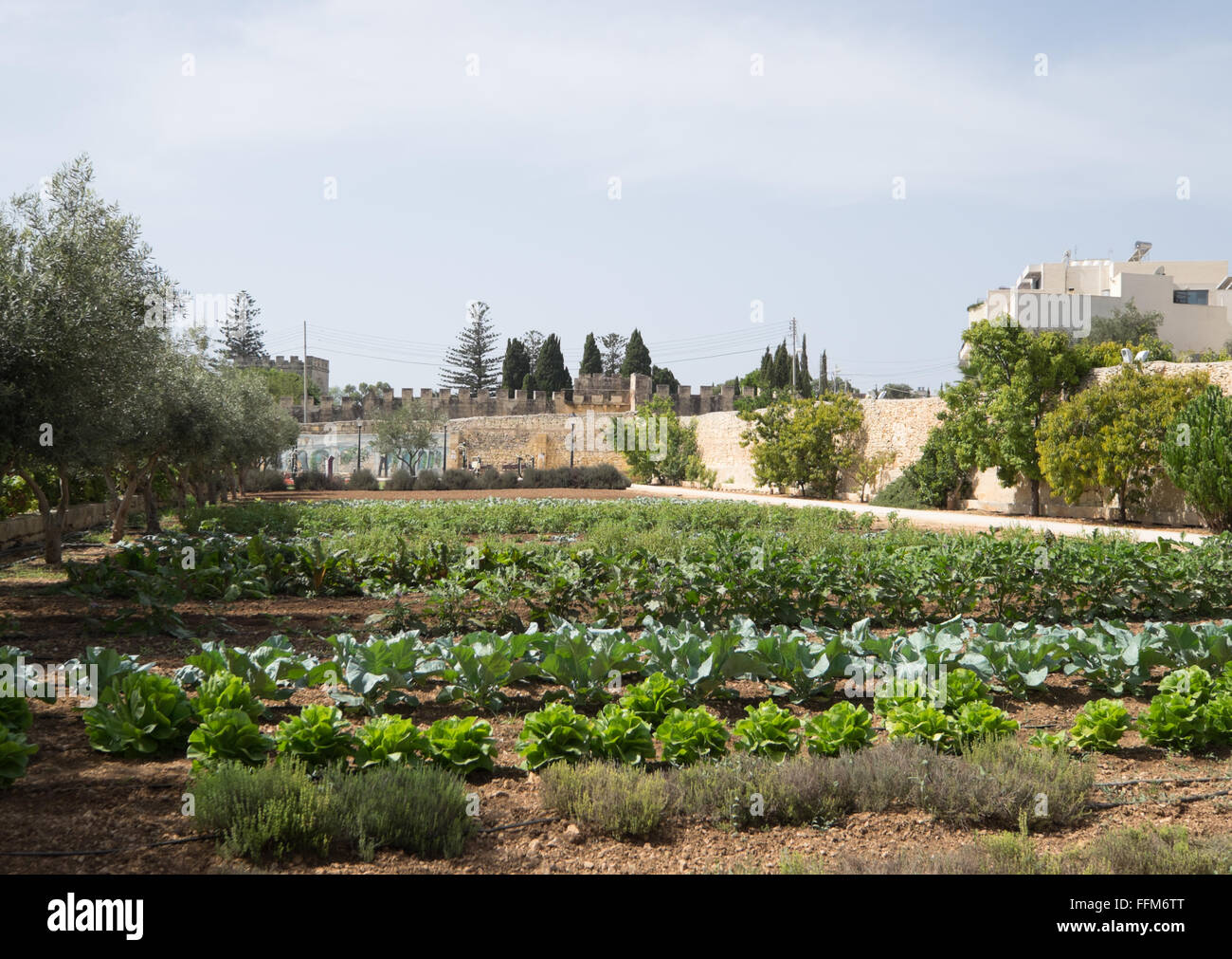 Balzan malta hi-res stock photography and images - Alamy